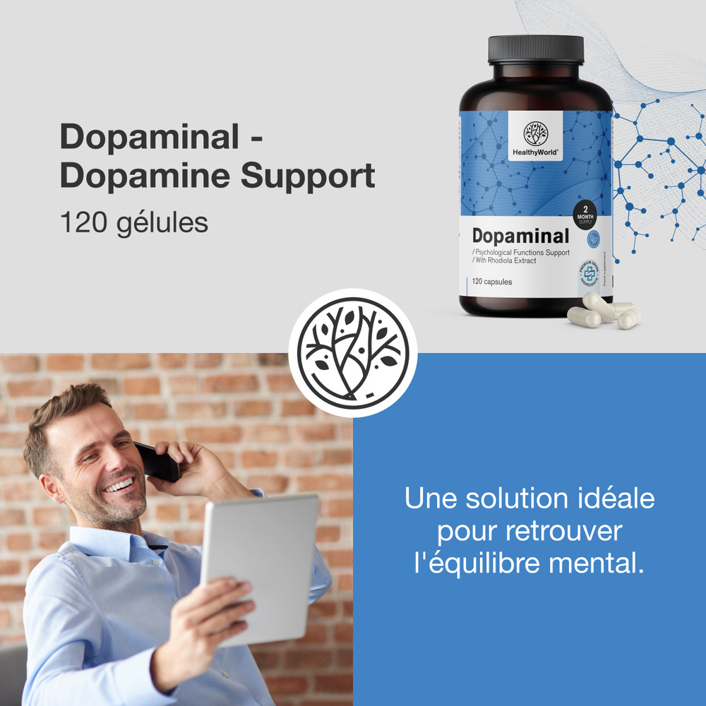 3x Dopaminal – Dopamine Support, ensemble 360 gélules - HealthyWorld.fr